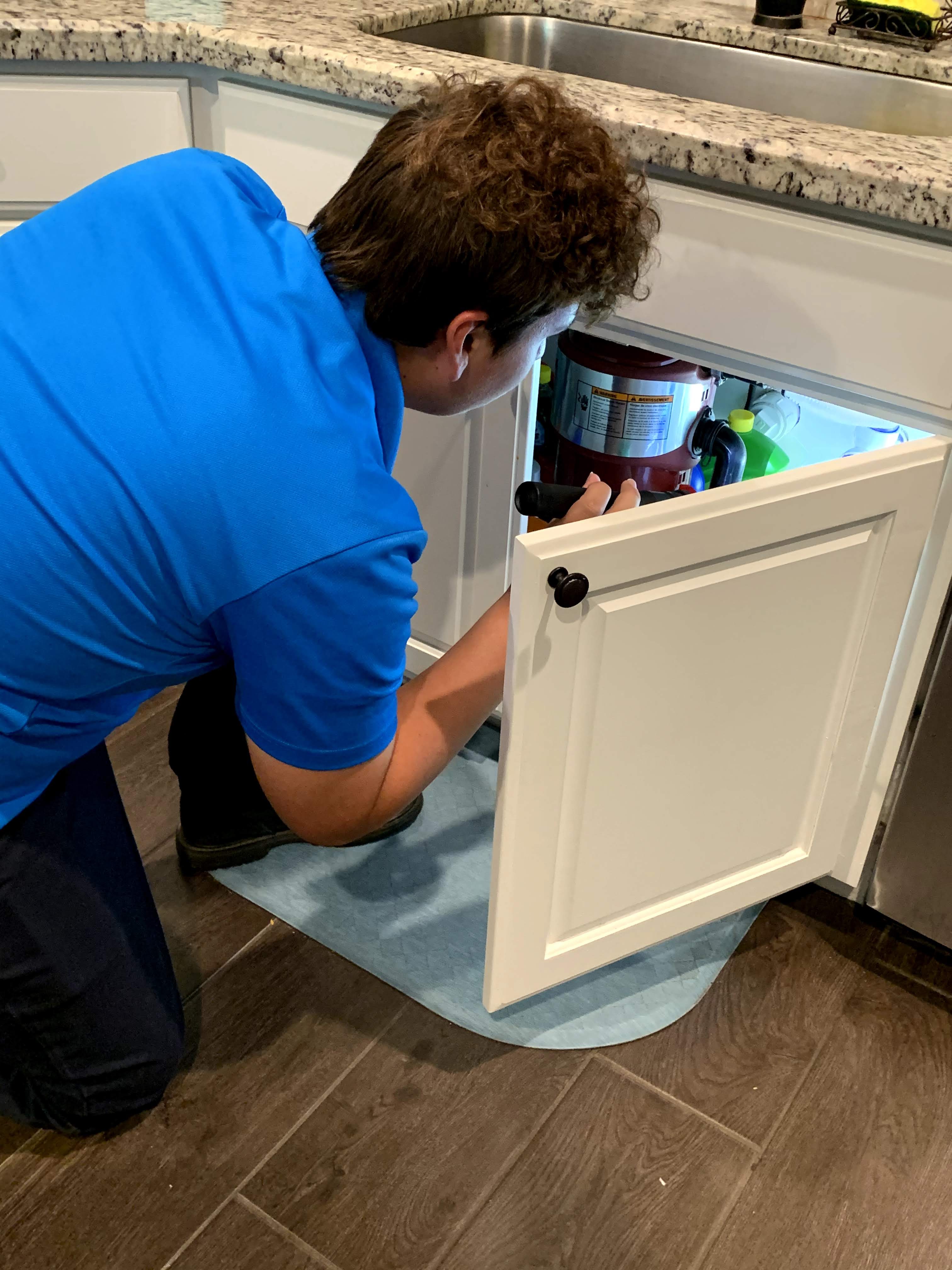 Allstar Pest Control – Let Us Keep Your Home Pest Free